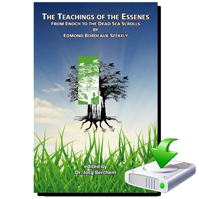 The Teachings of the Essenes — From Enoch to the Dead Sea Scrolls by ...